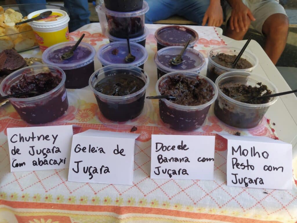 Rede Juçara-ES é implantada durante 1º Seminário da Palmeira Juçara em ...