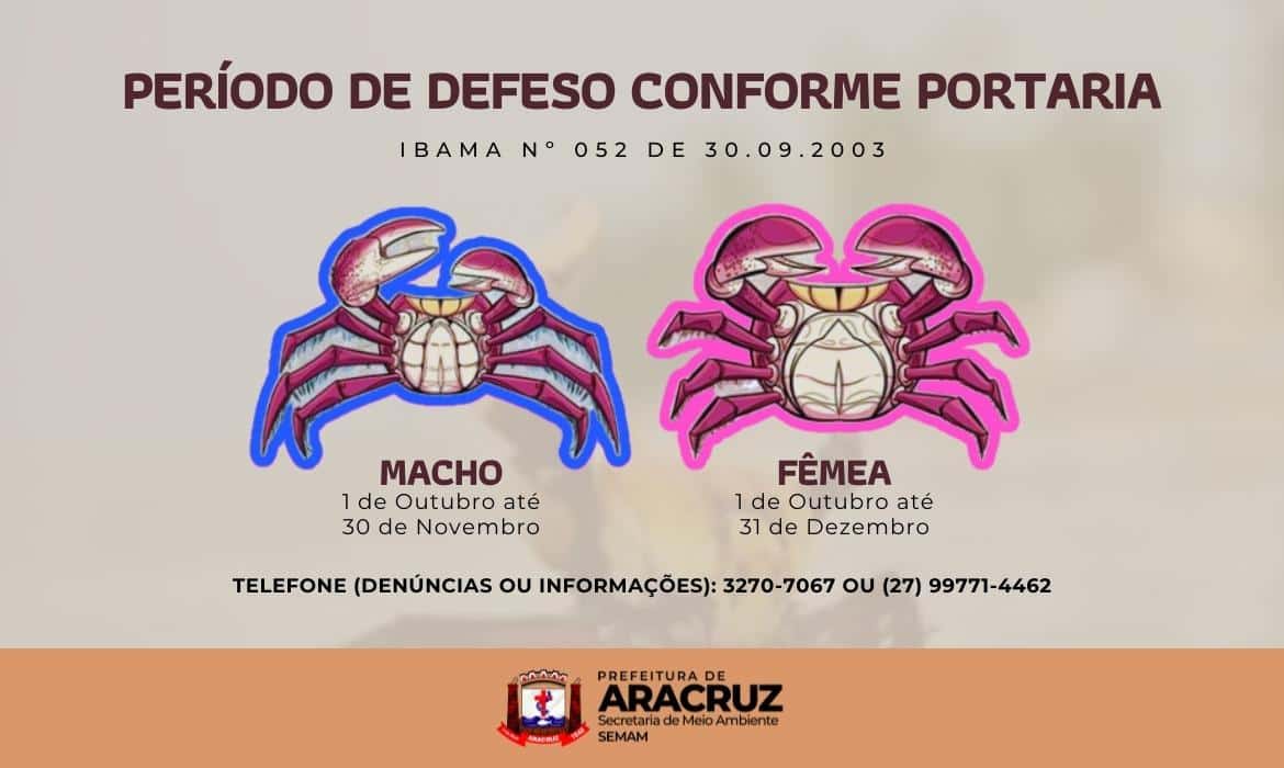 Defeso do Caranguejo-uçá: saiba mais sobre as restrições - Conexão Safra